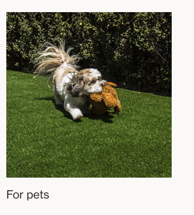 Dedicated EDM SmartGrass - 14th Dec 2022